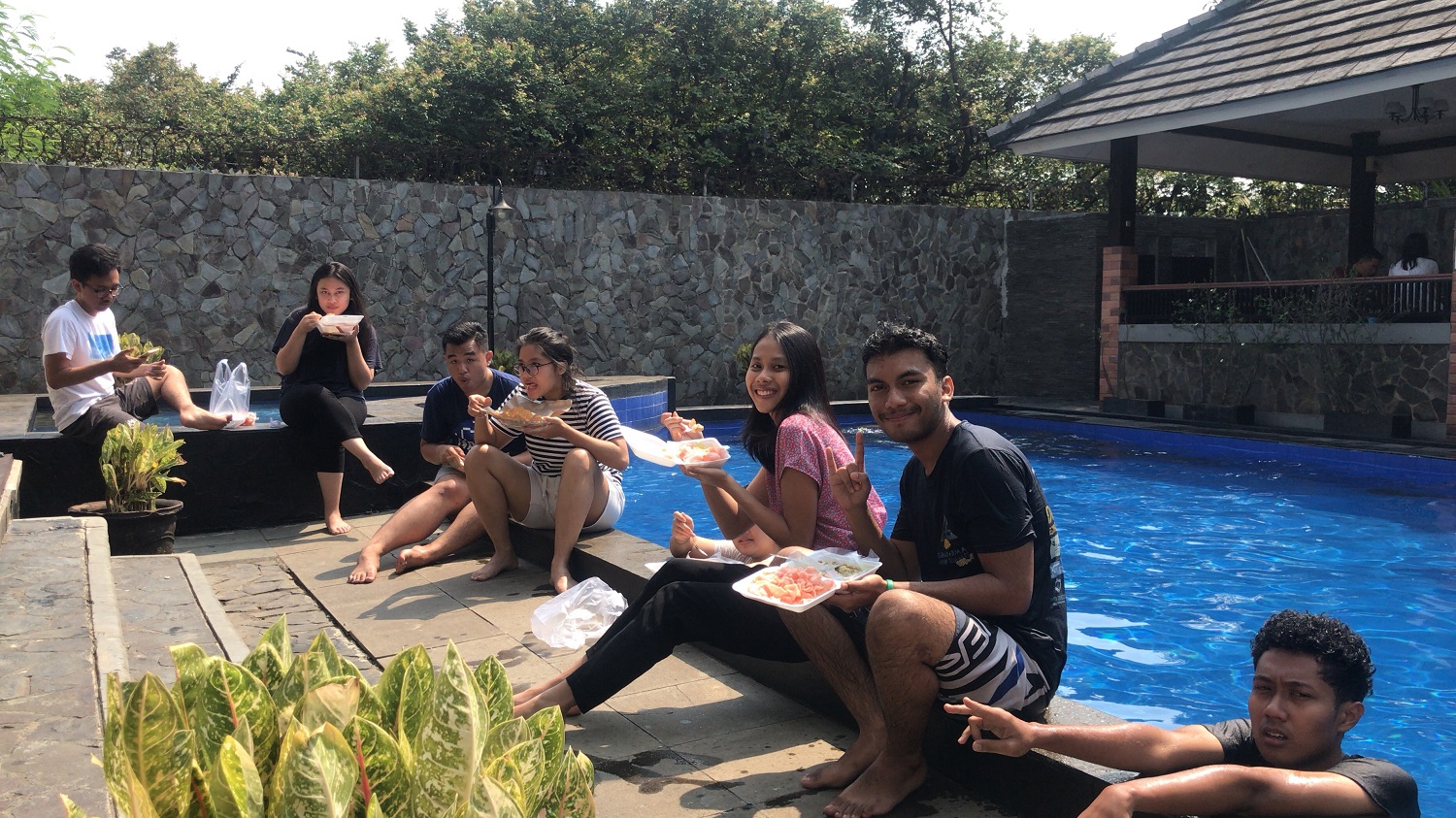 Internal Programs – ISAFIS